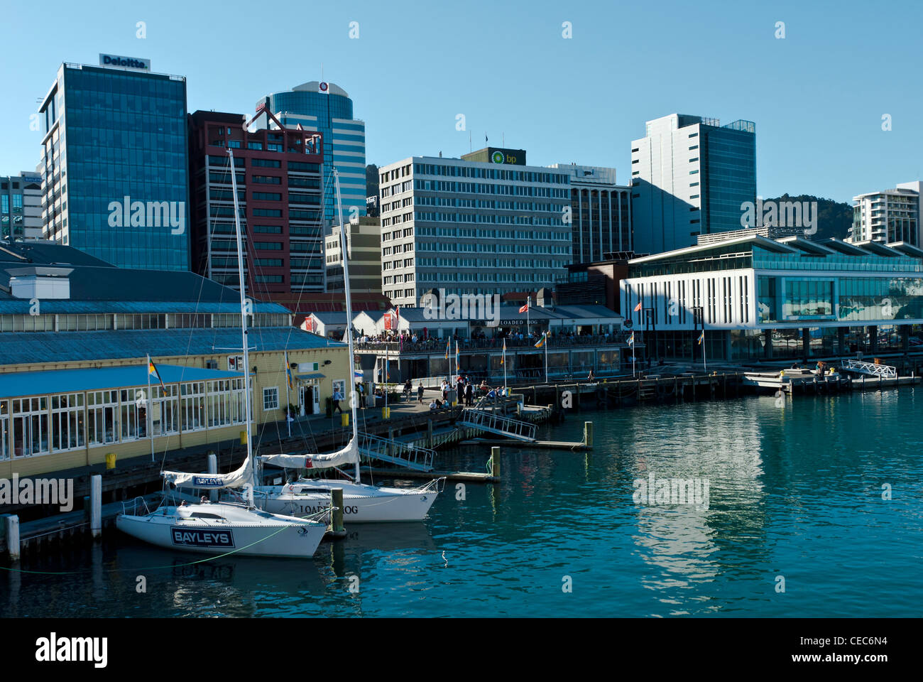 Wellington New Zealand Waterfront restaurant yacht Stock Photo - Alamy