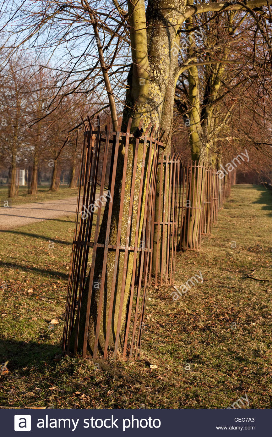 Tree Guard Stock Photos & Tree Guard Stock Images - Alamy