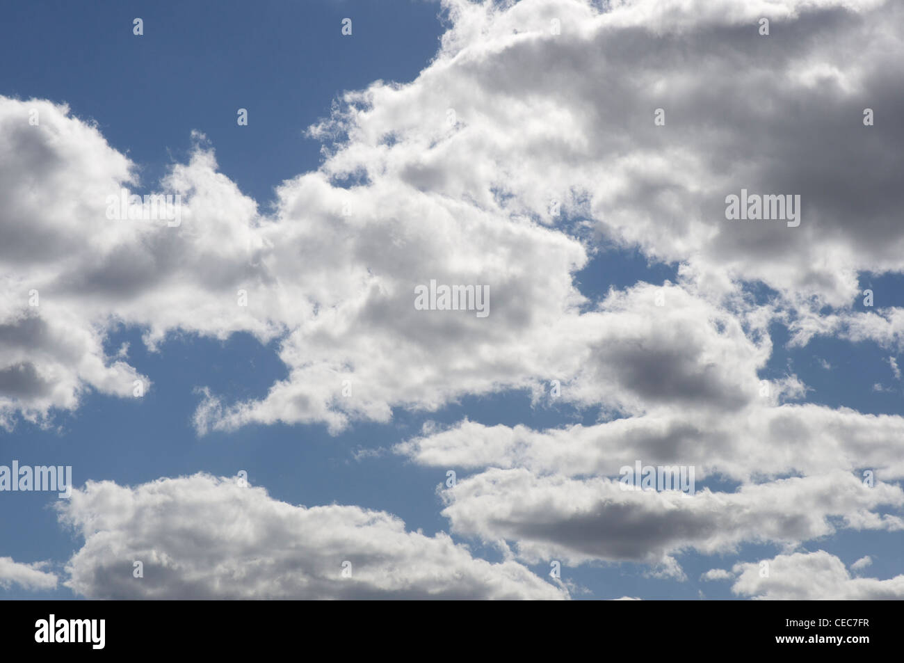 Beautiful backlit clouds floating in a blue afternoon Florida sky Stock ...