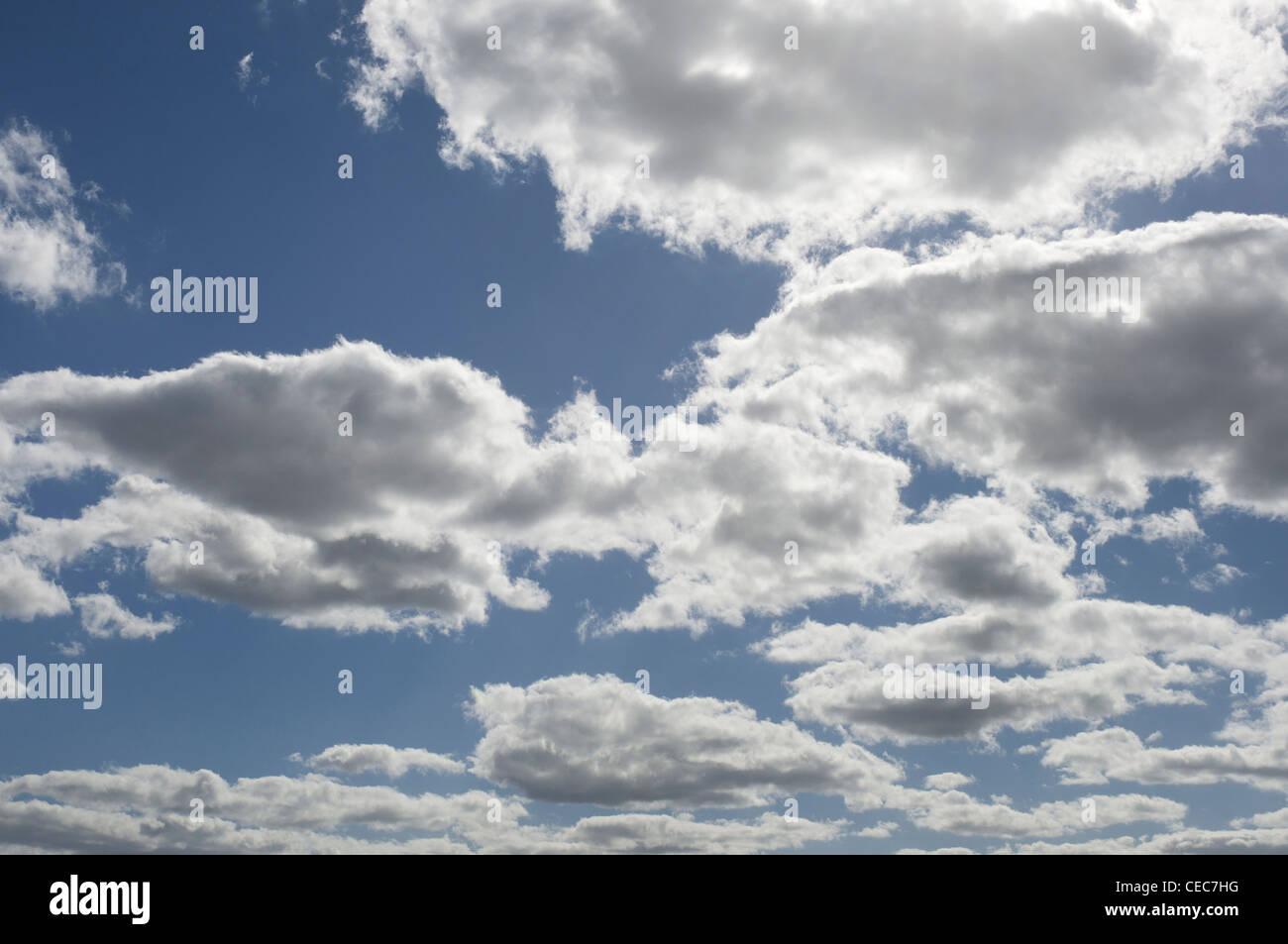 Beautiful backlit clouds floating in a blue afternoon Florida sky Stock ...