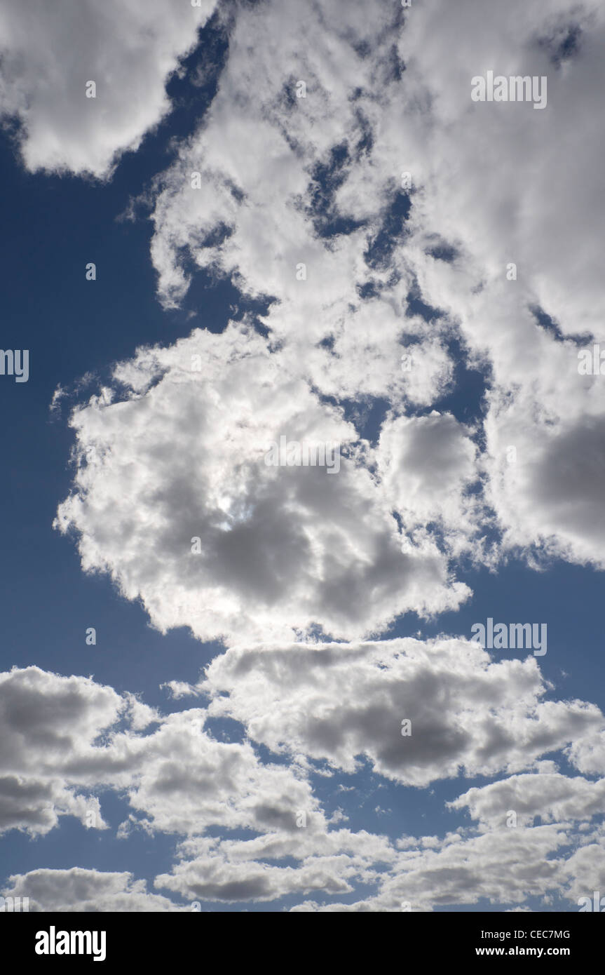 Beautiful backlit clouds floating in a blue afternoon Florida sky Stock ...