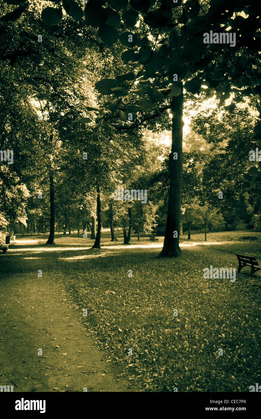view of a park in autumn, sepia toned Stock Photo - Alamy