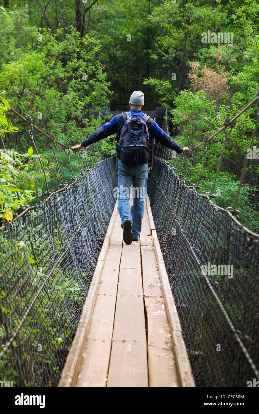 A hiker crosses a swing bridge in Beedelup National Park. Pemberton ...