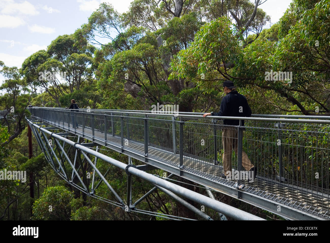 Tree top walk hi-res stock photography and images - Alamy