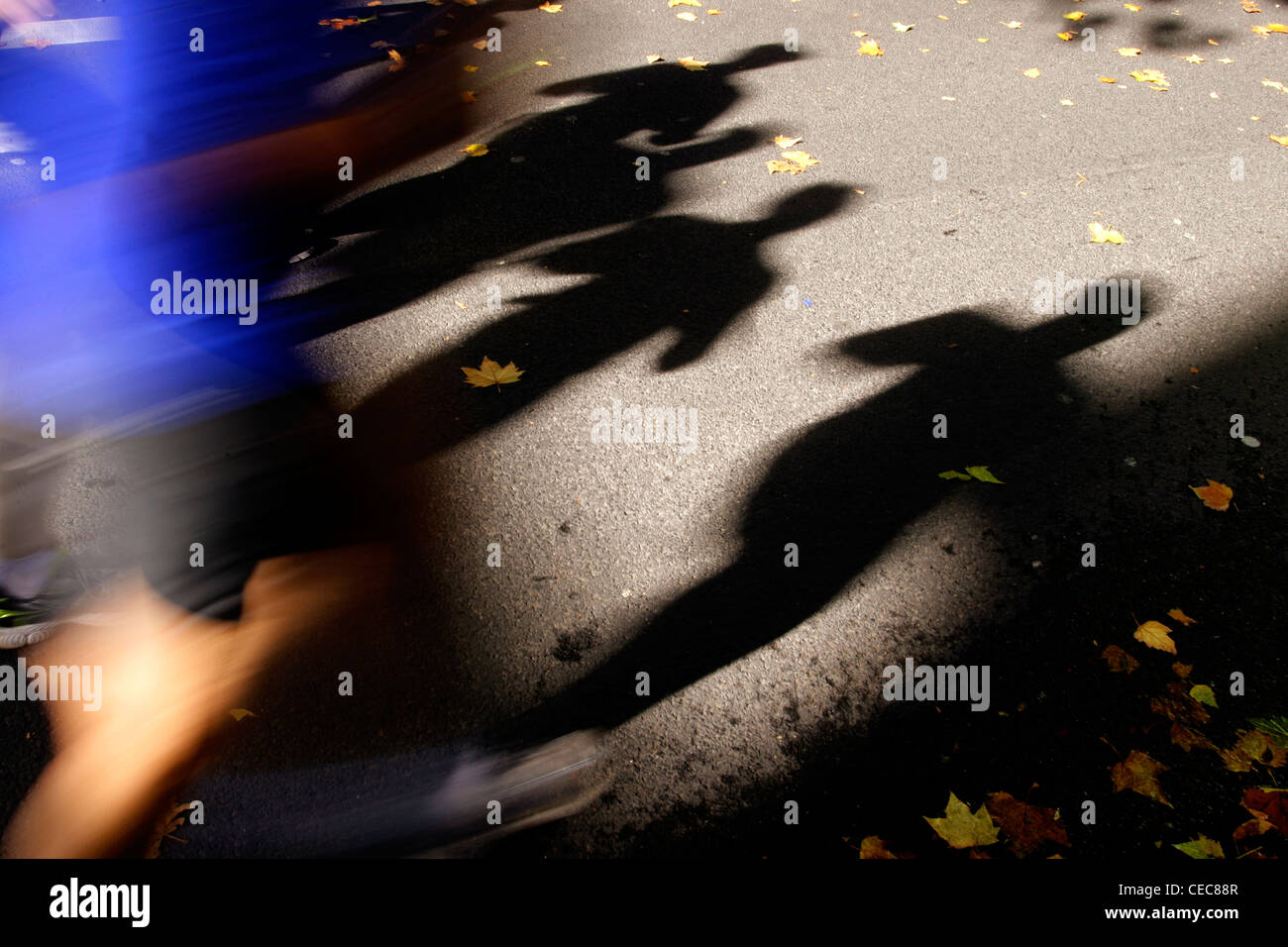 Shadow of some runners at the Cologne marathon Stock Photo - Alamy