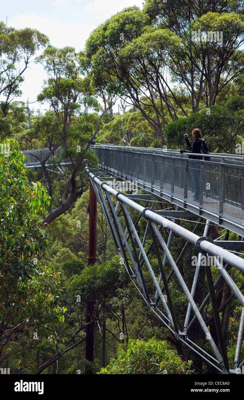 The Tree Top Walk in the Valley of the Giants. Walpole-Nornalup ...