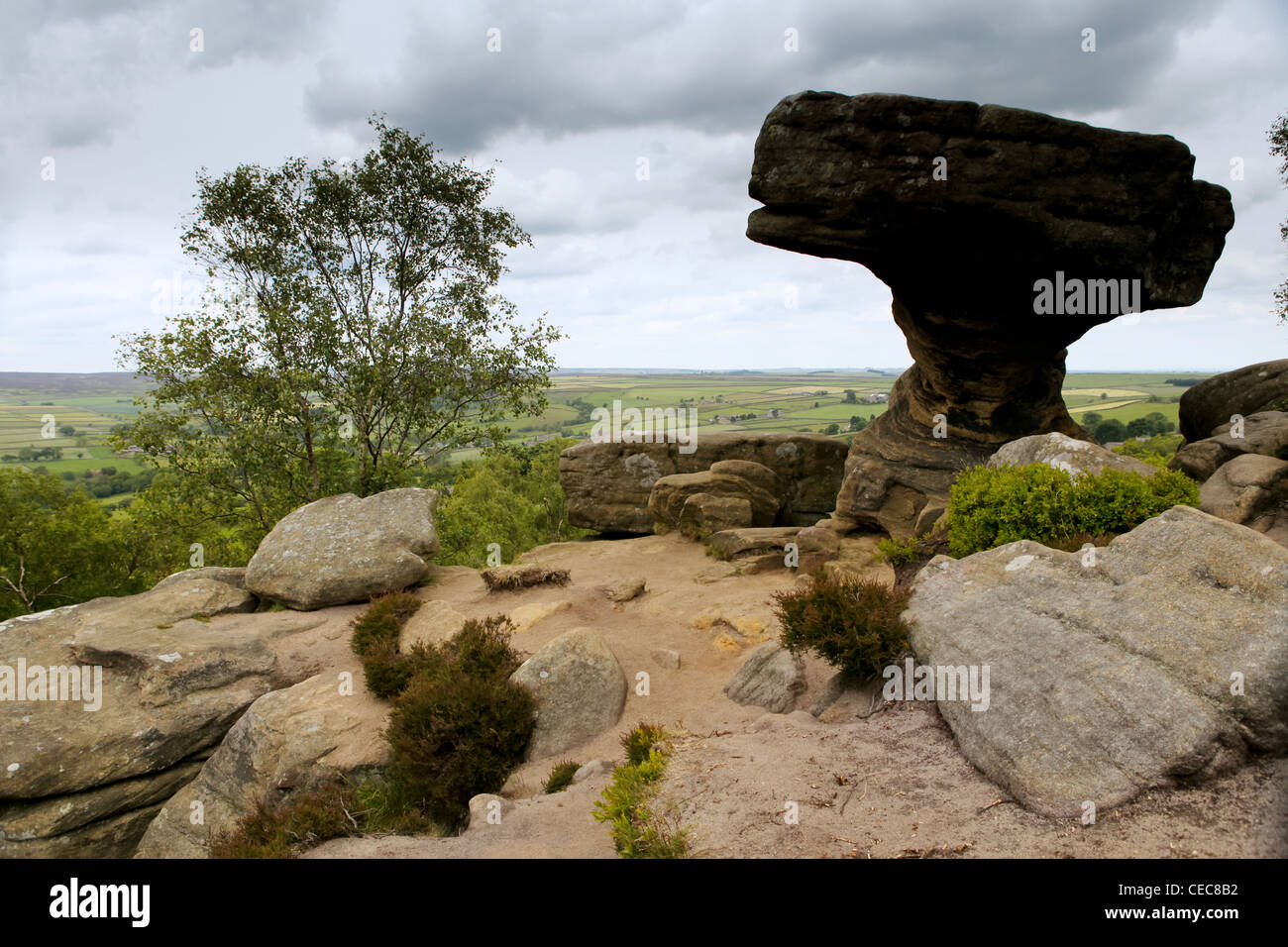 Brimham Rocks formations in the Yorkshire Dales, North Yorkshire, UK ...