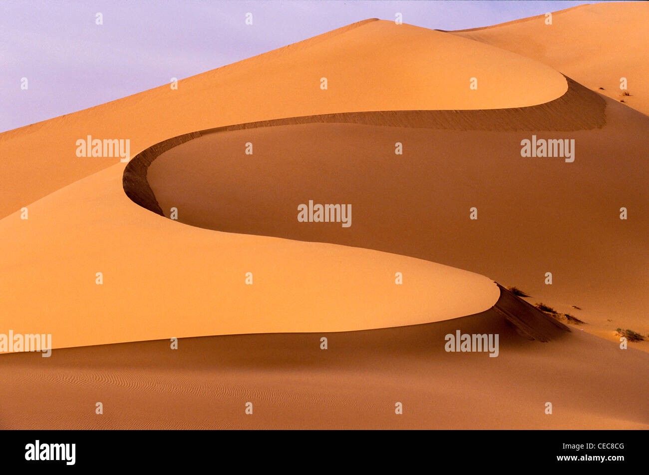 Sand dunes in the Sahara desert, North Africa Stock Photo - Alamy