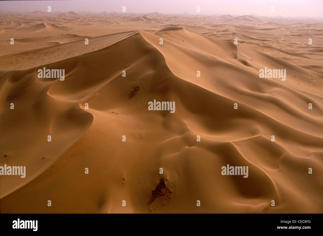 Sand dunes in the Sahara desert, Africa Stock Photo - Alamy