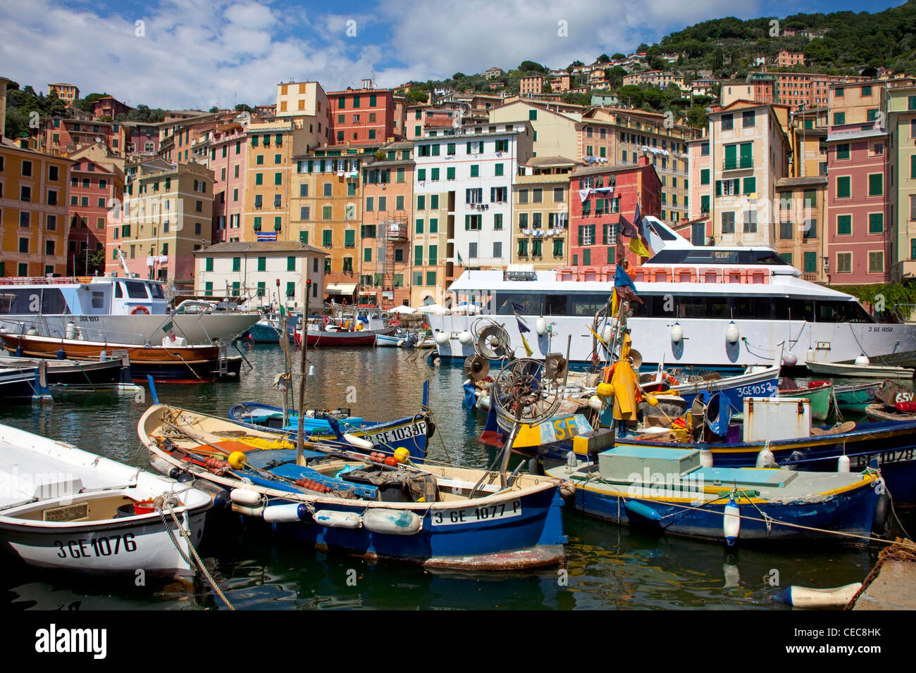 Fishing harbour of Camogli, fishing village at province Genua, Liguria ... Fishing harbour of Camogli, fishing village at province Genua, Liguria ...