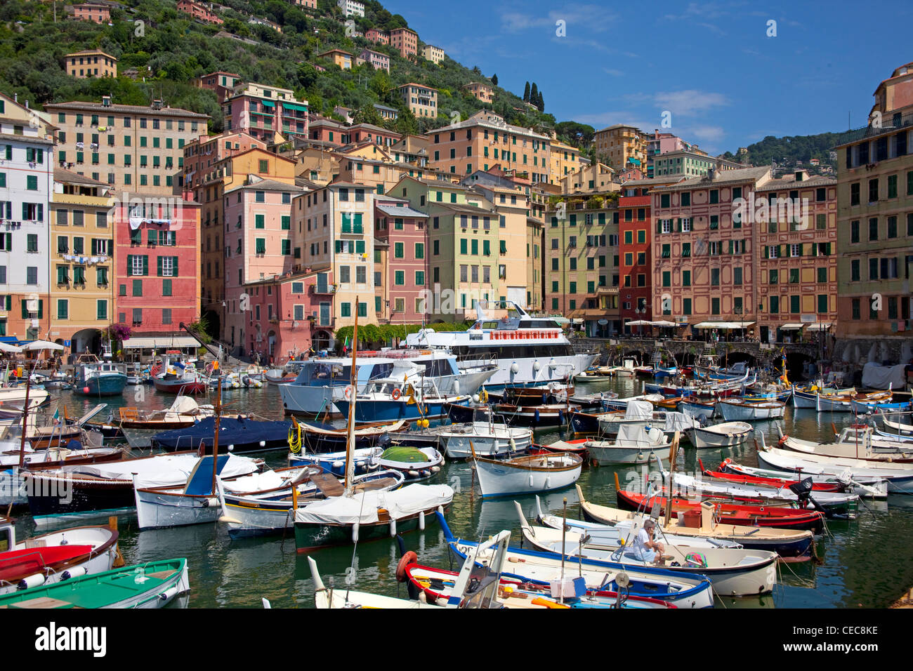 Fishing harbour of Camogli, fishing village at province Genua, Liguria ... Fishing harbour of Camogli, fishing village at province Genua, Liguria ...