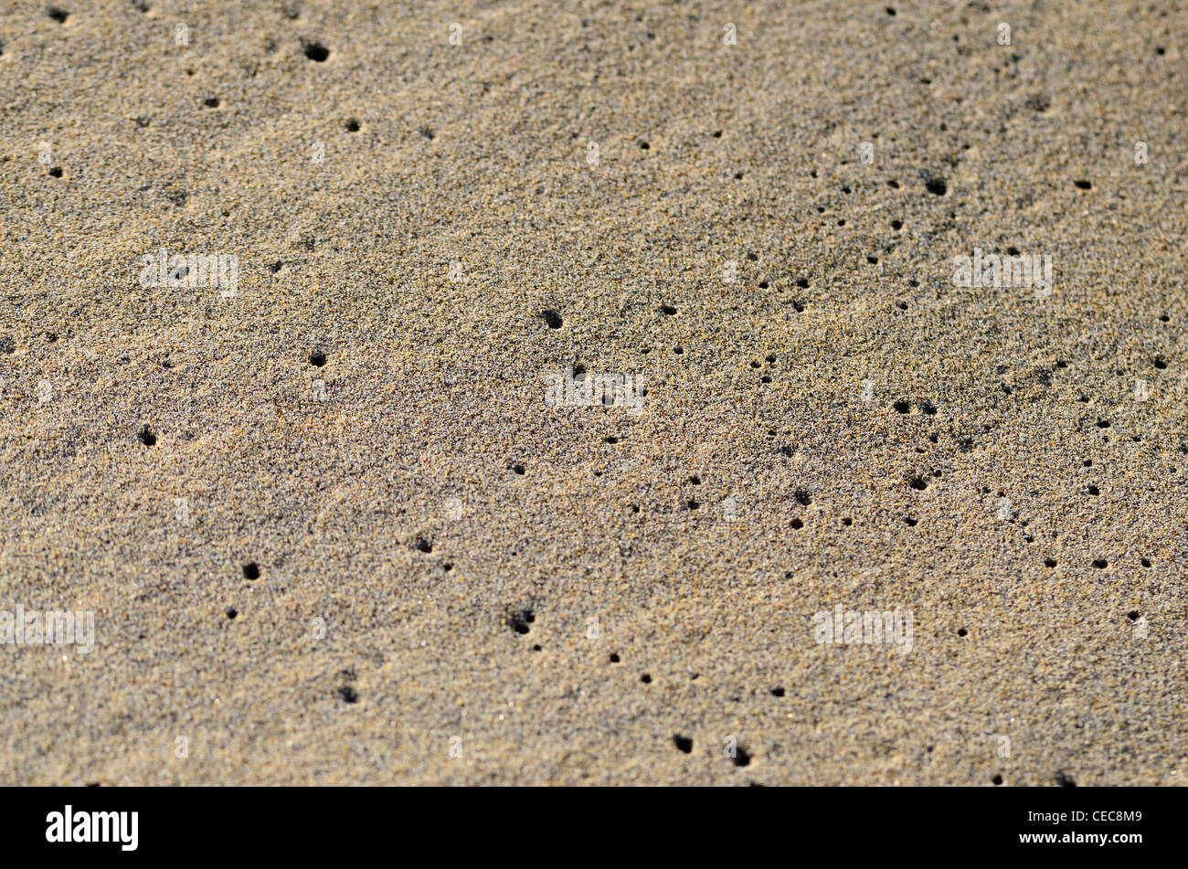 Sand pattern with holes Stock Photo - Alamy