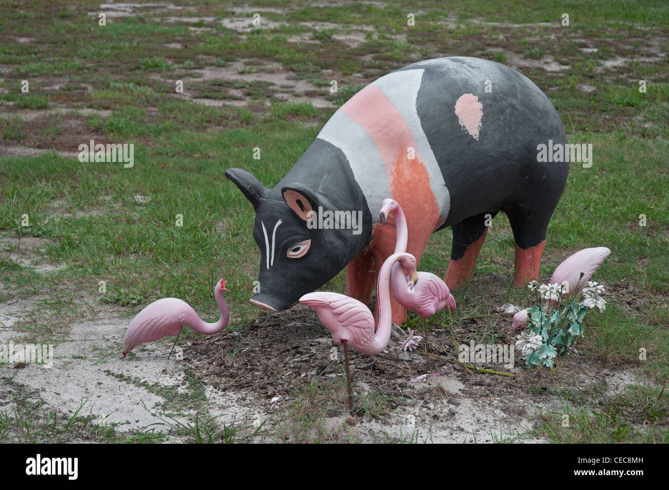A colorful plaster pig & plastic flamingoes & flowers in a rural ...