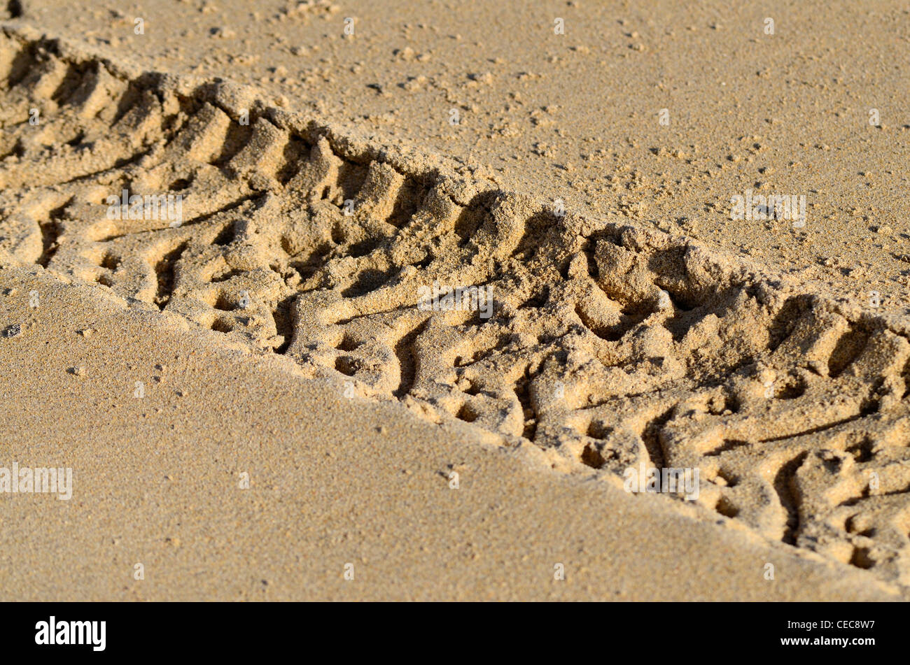 tire track across sand Stock Photo - Alamy