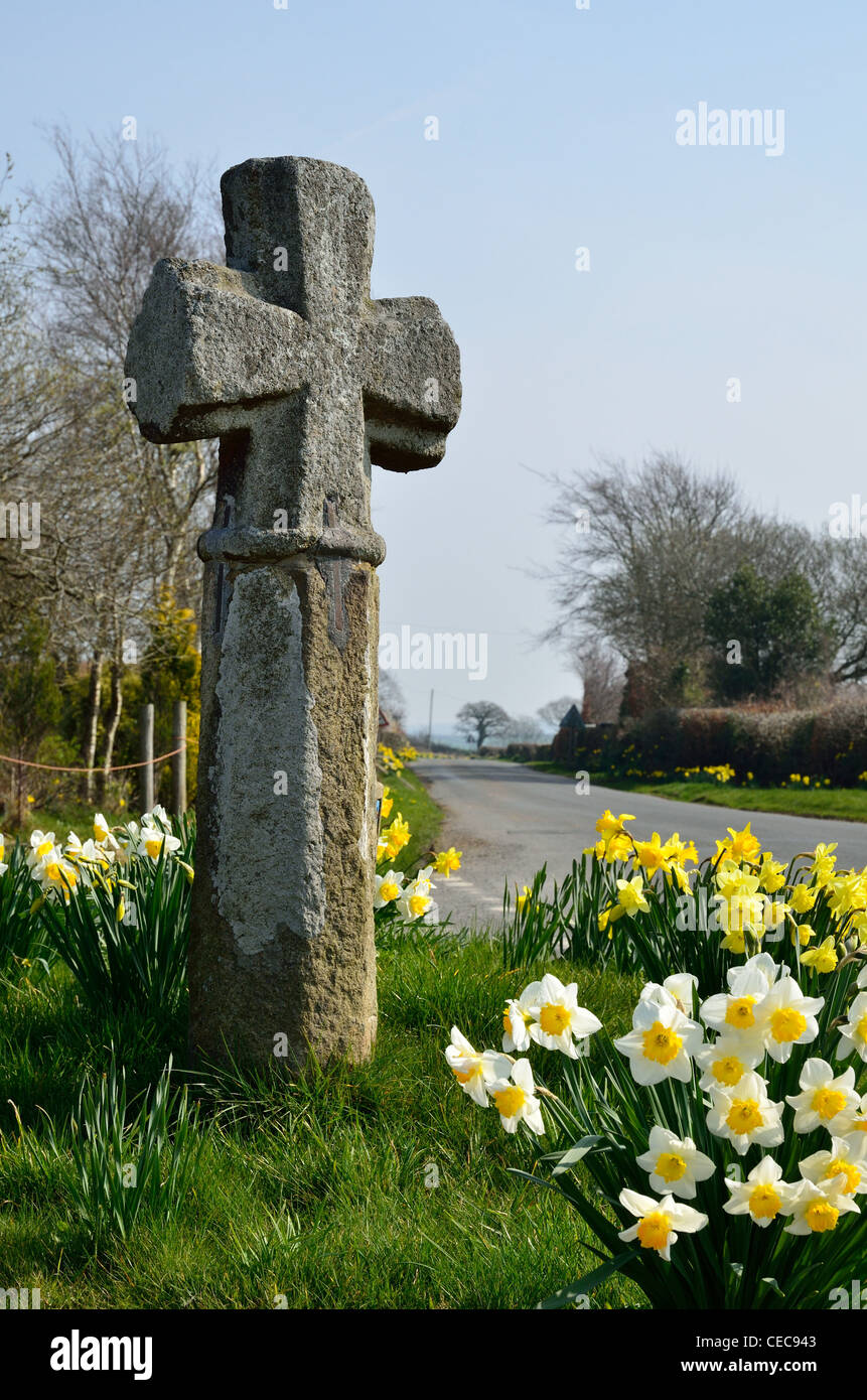 Durdon Cross. Ancient stone wayside Cross on a Devon Lane surrounded by ...