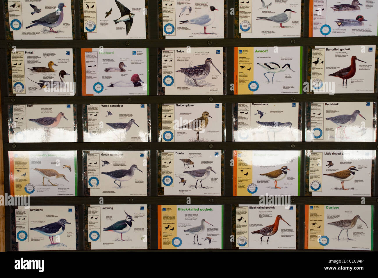 Bird identification chart hi-res stock photography and images - Alamy
