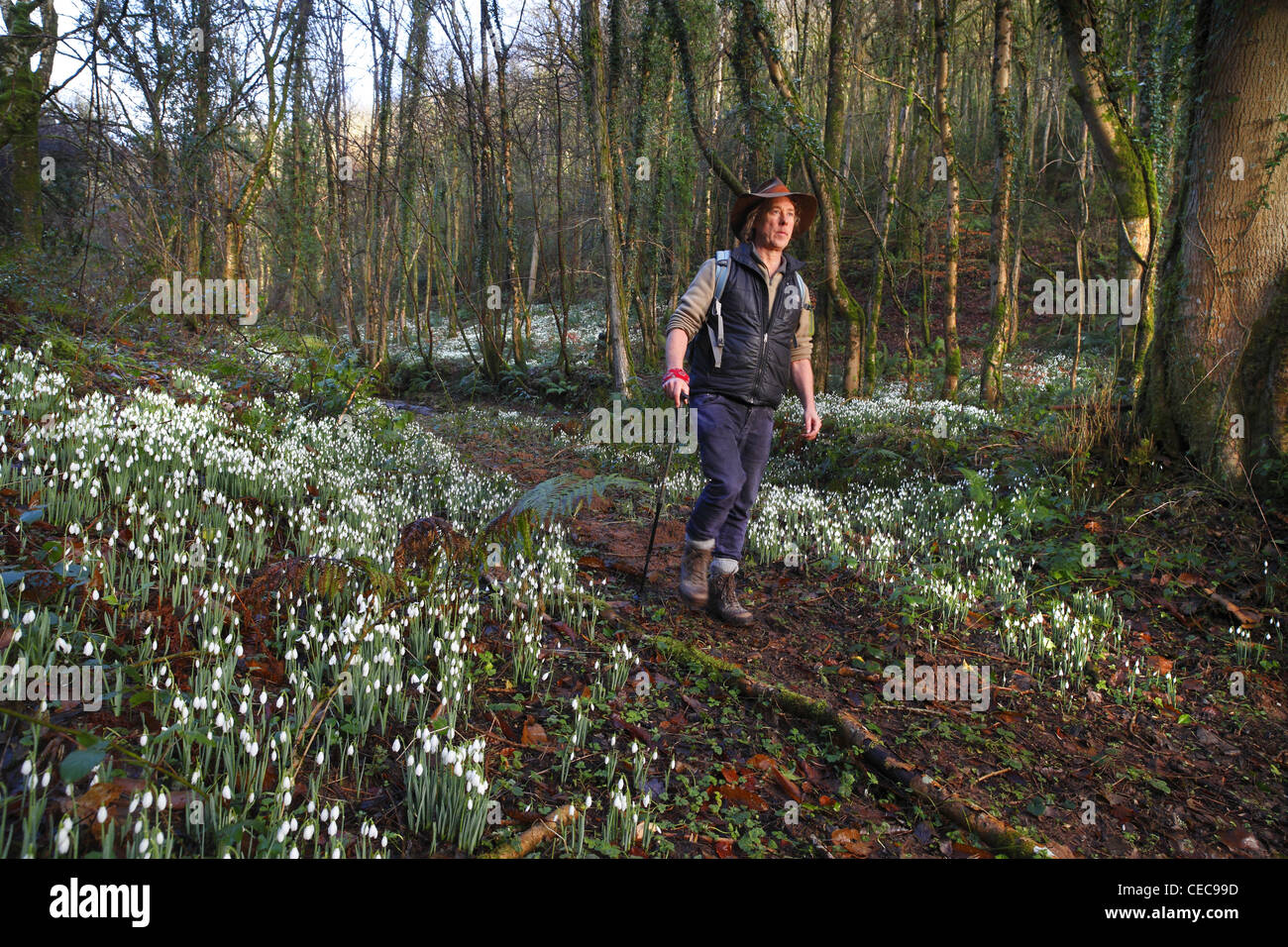 Rev. Peter Owen-Jones in Snowdrop Valley near Wheddon Cross on Exmoor ...