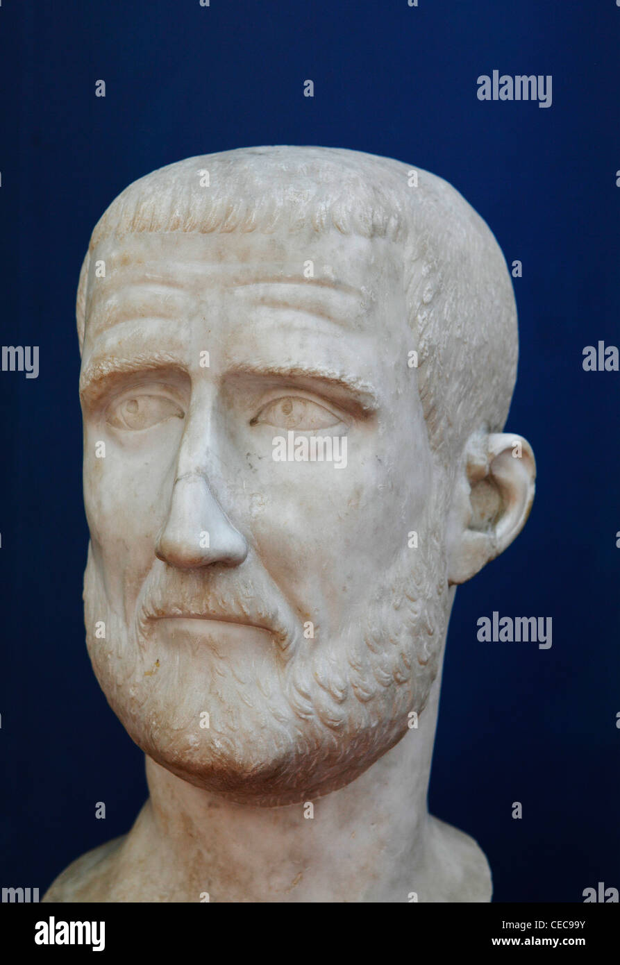 Emperor probus hi-res stock photography and images - Alamy