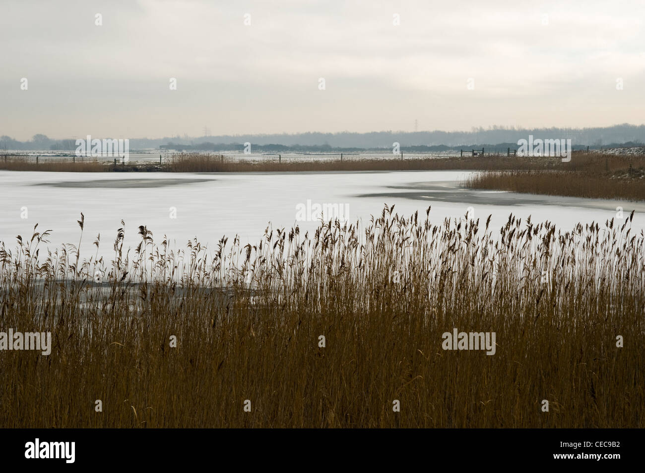 Rspb old moor nature reserve hi-res stock photography and images - Alamy