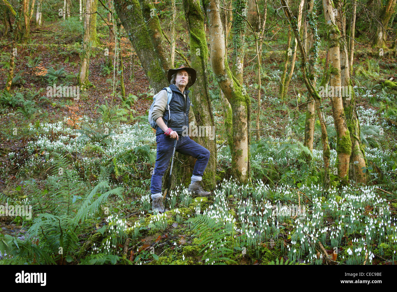 Rev. Peter Owen-Jones in Snowdrop Valley near Wheddon Cross on Exmoor ...