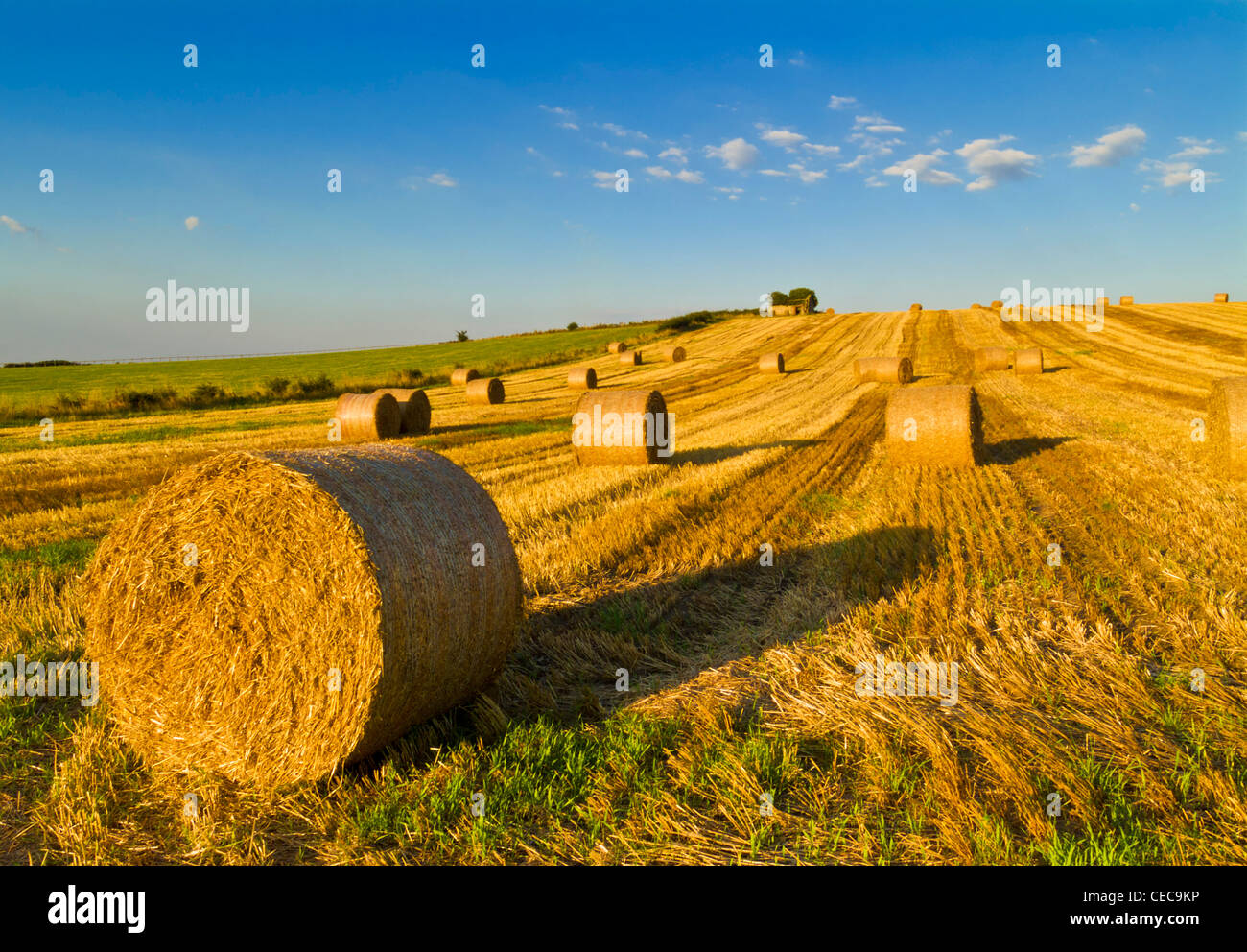Hay bales in a field after harvest near Swadlincote Derbyshire England ...