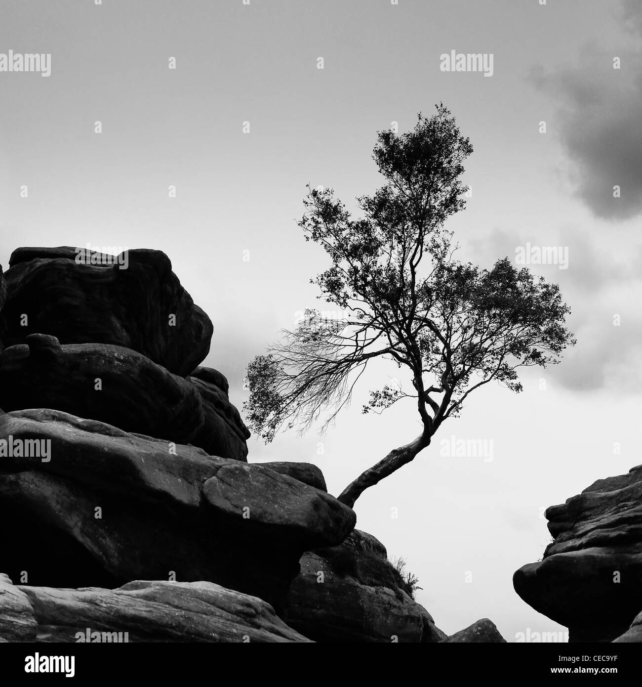 Brimham Rocks formations in the Yorkshire Dales, North Yorkshire, UK ...