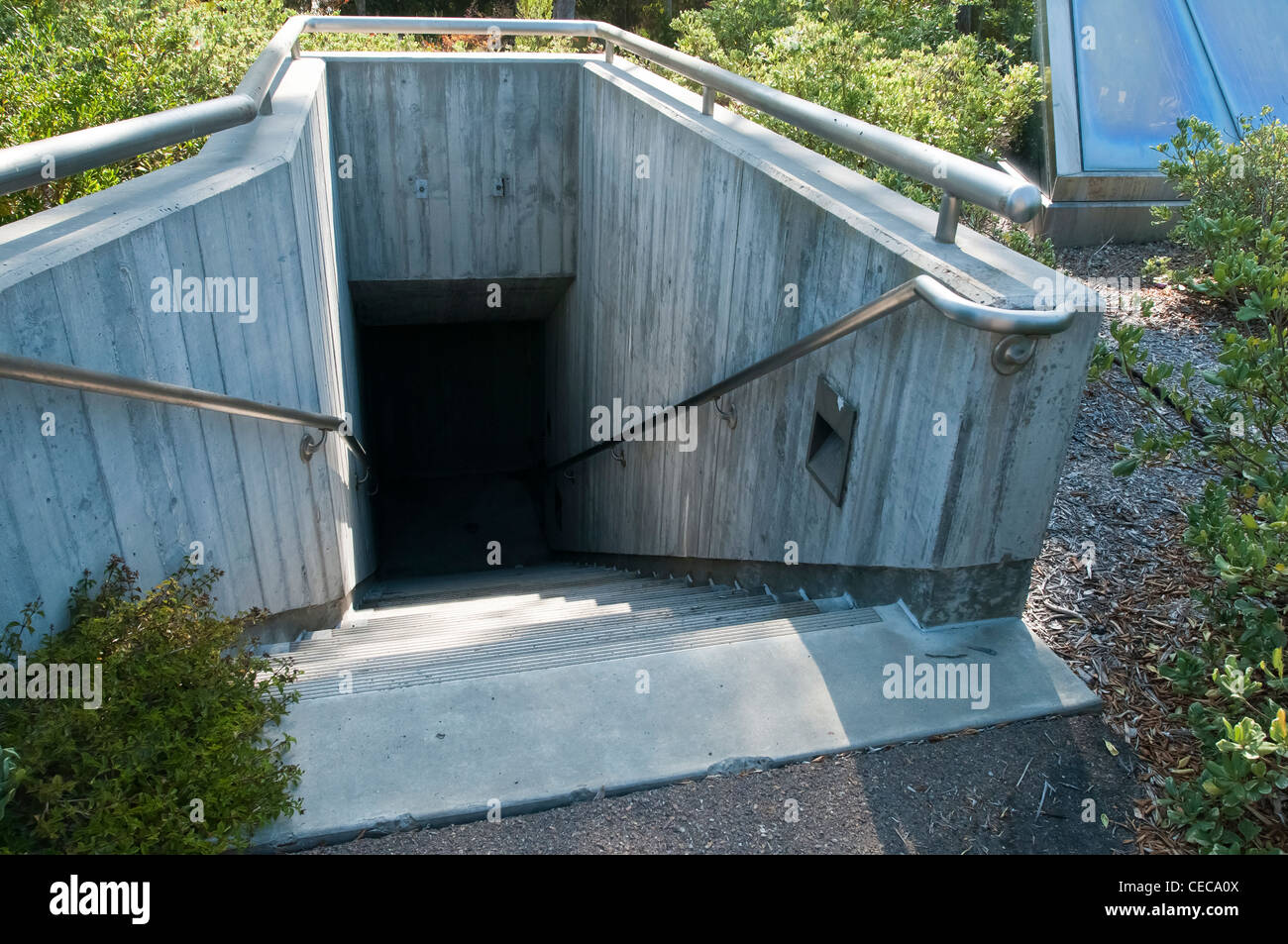 Concrete stairs to a dark cellar on the grounds of Geisel Library at ...