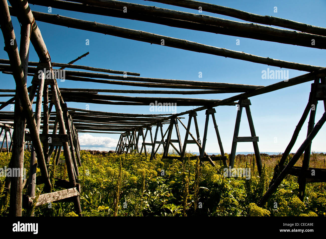 Fish drying racks along the shoreline in Akranes. West Iceland Stock ...