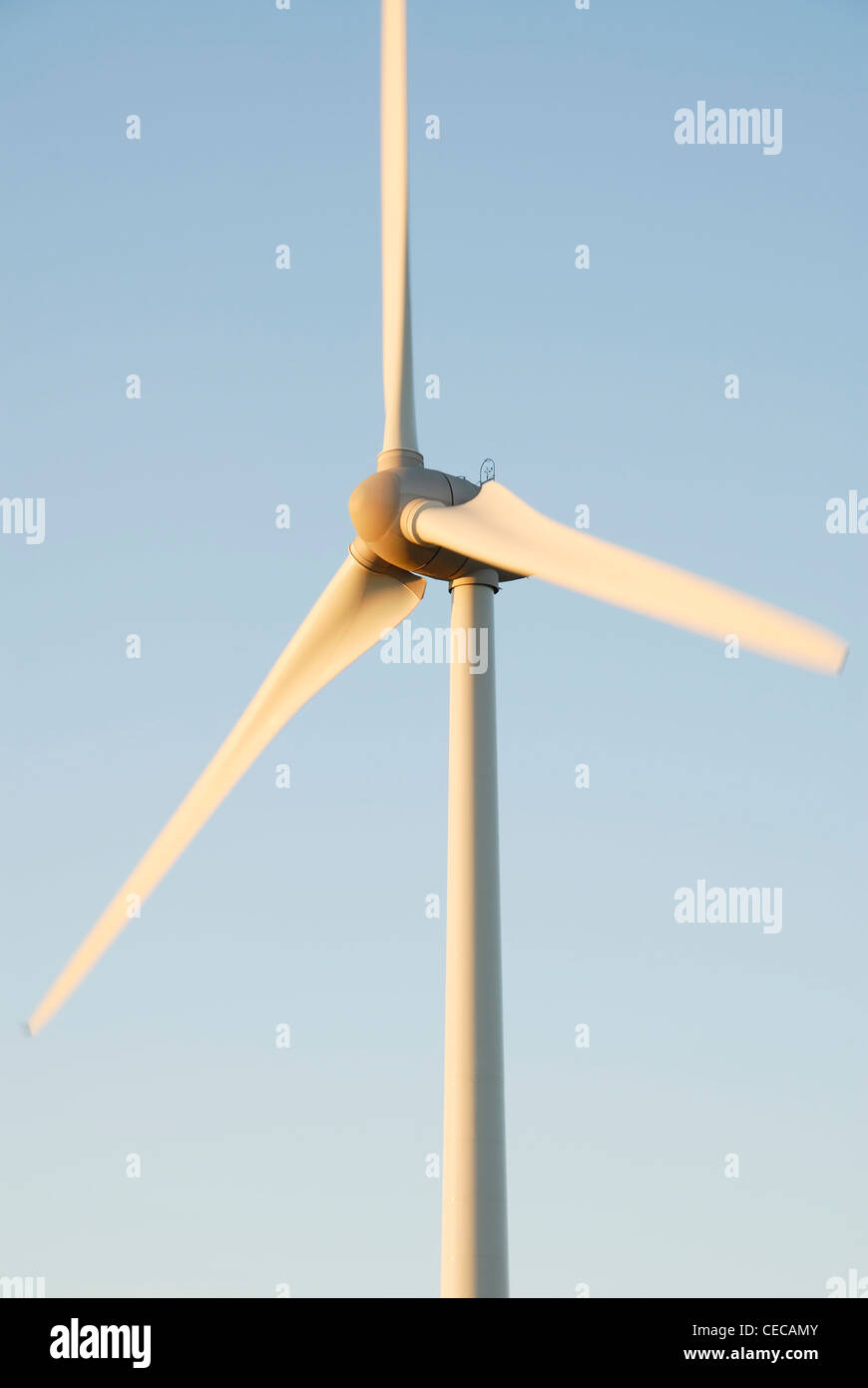 Full frame vertical photo. Slight Motion blur on blades. UK Stock Photo ...