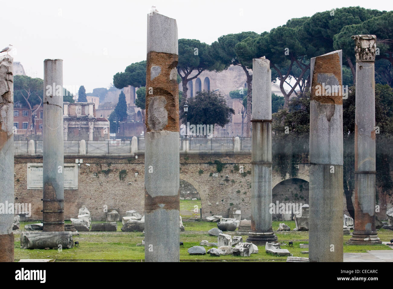 Roman Forum Ruins of several important ancient government buildings at ...