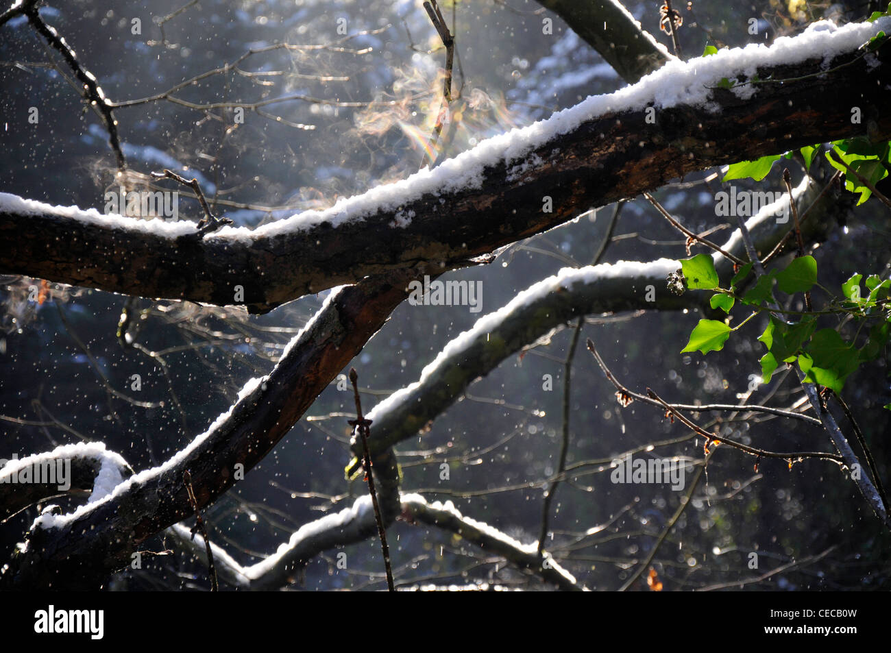 Smoke and snow hi-res stock photography and images - Alamy