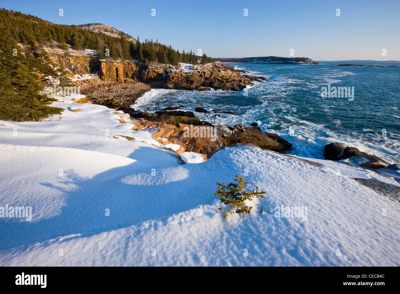 A winter morning on the Maine coast in Acadia National Park. Ocean ...