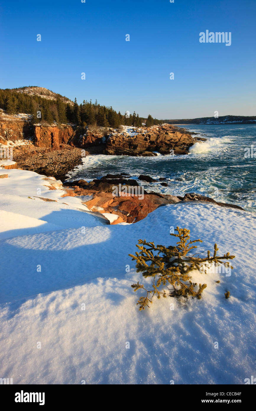 A winter morning on the Maine coast in Acadia National Park. Ocean ...