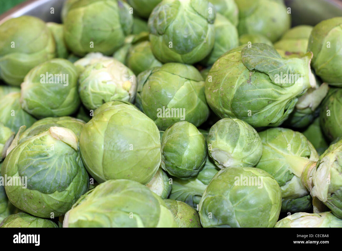 Brussels sprouts for sale on a market stall Stock Photo - Alamy