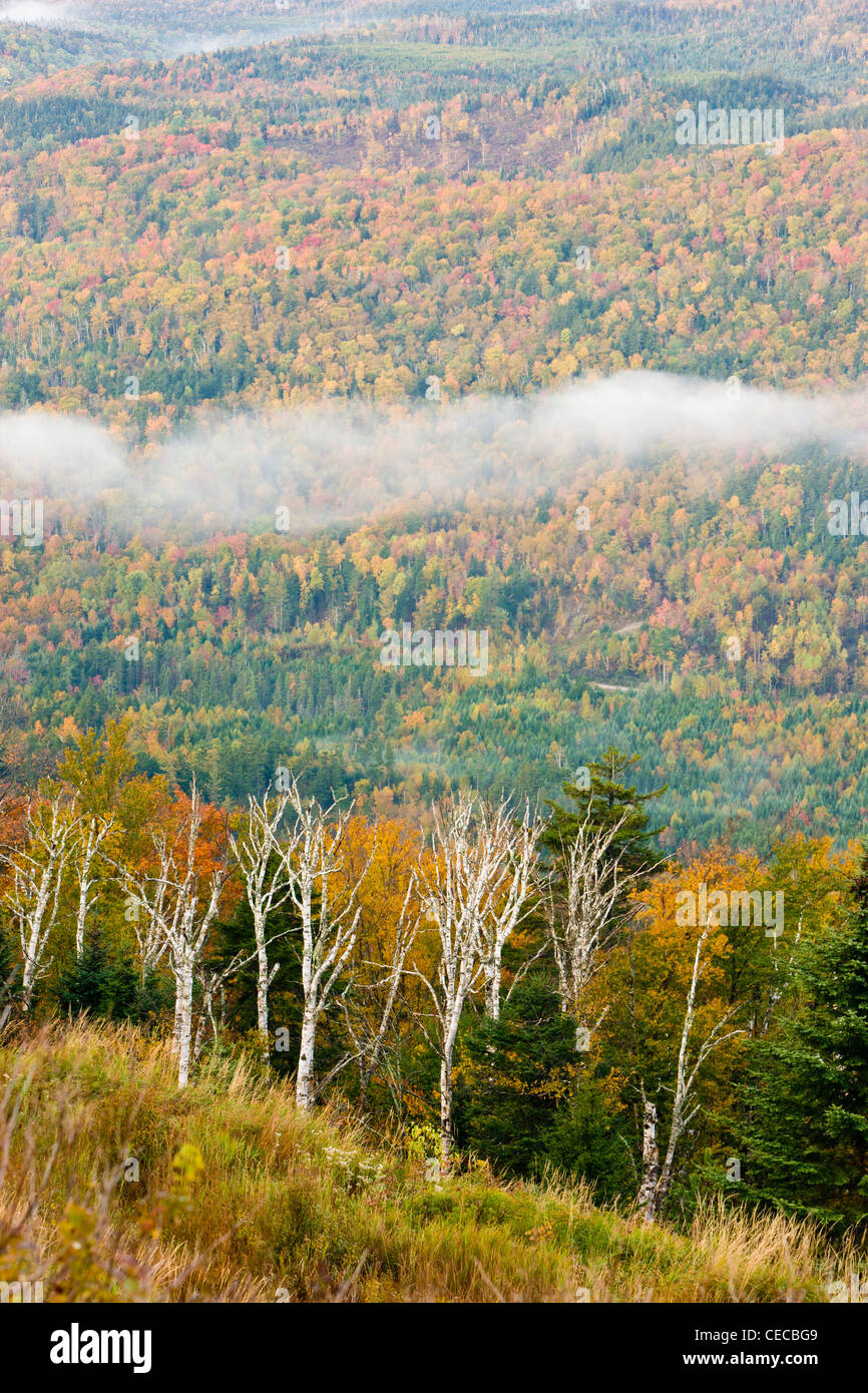 Fall foliage as seen from the Appalachian Trail at the Height of Land ...