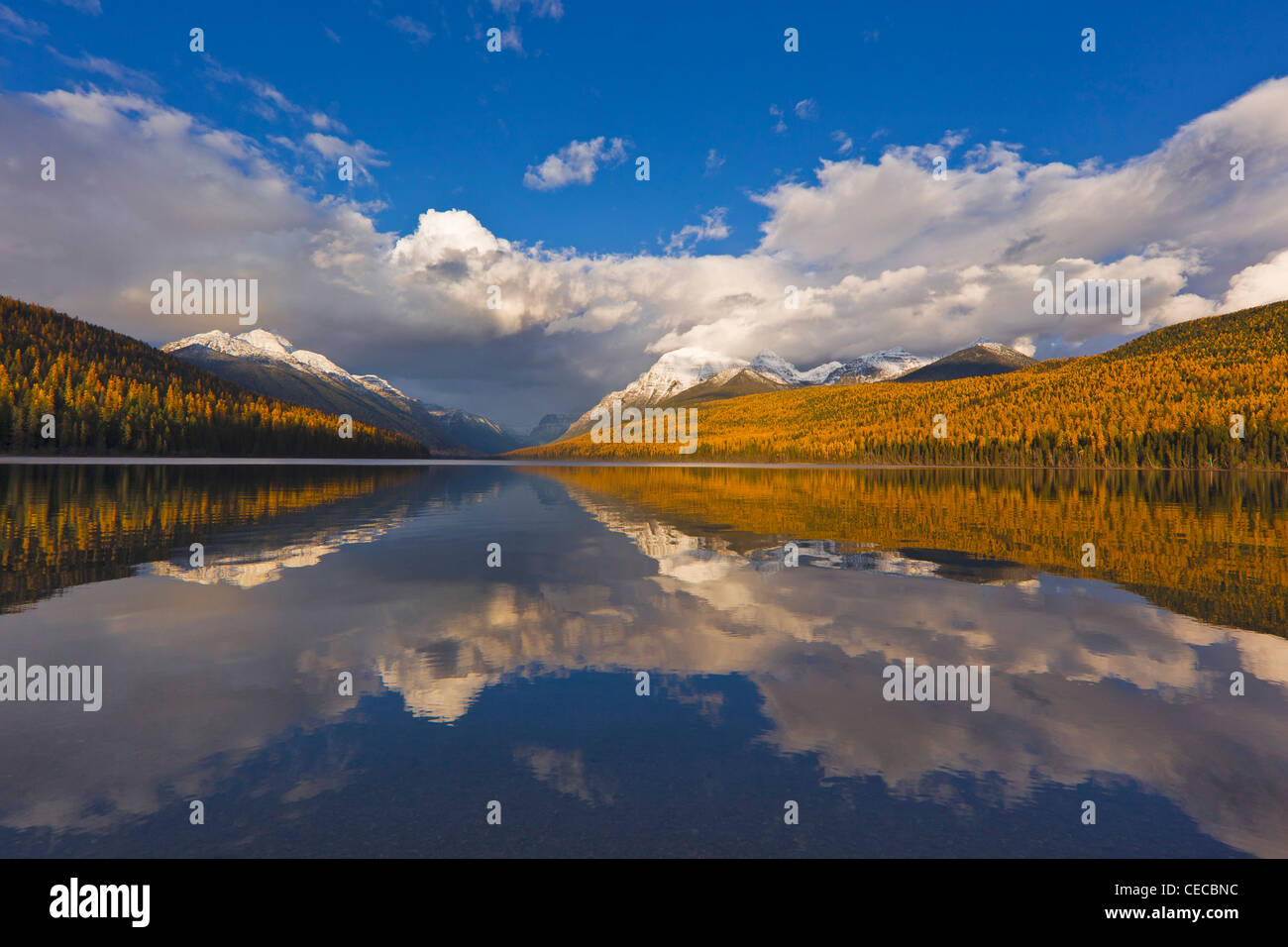 Bowman Lake in autumn in Glacier National Park, Montana, USA Stock ...