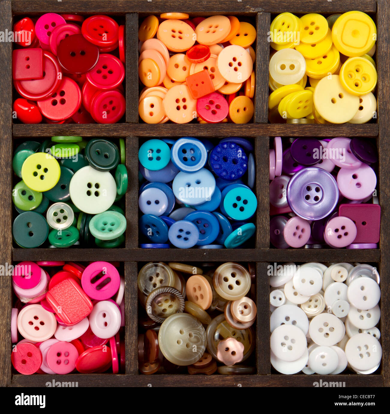 an assortment of buttons in a rainbow of colors, in a printers box ...