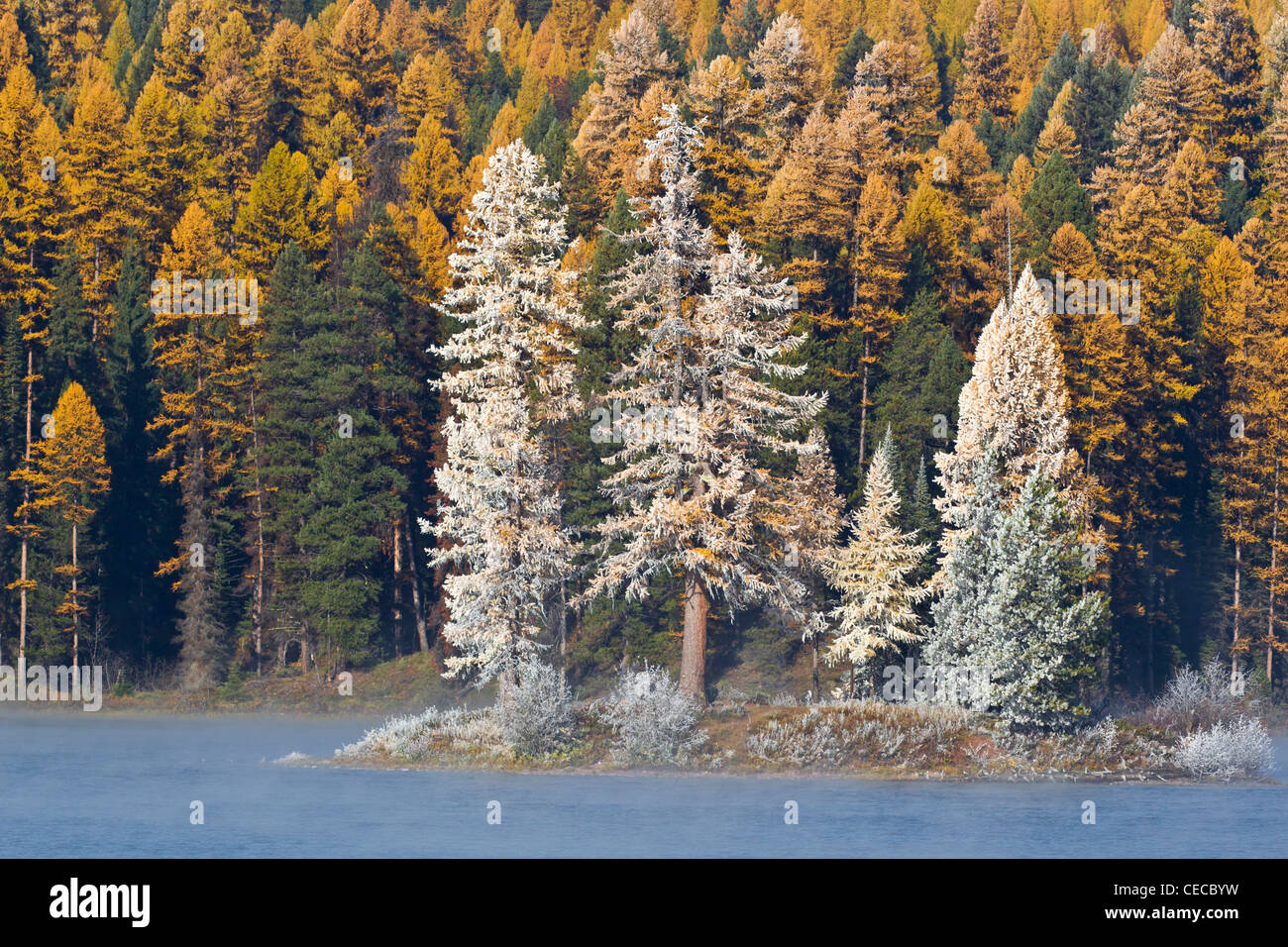 Lolo island hi-res stock photography and images - Alamy