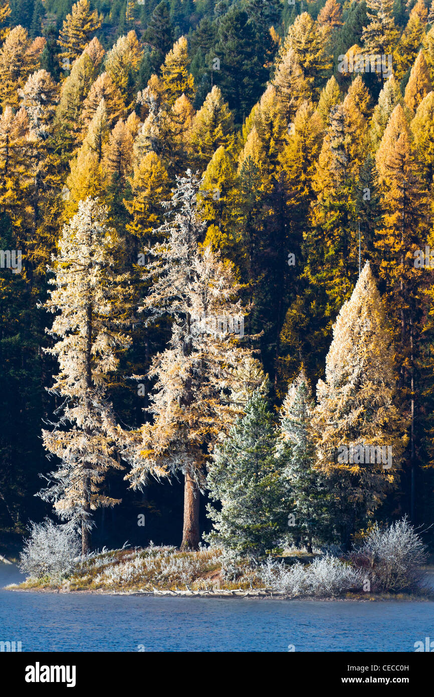 Small island coated in frost on Lake Alva in autumn in the Lolo ...