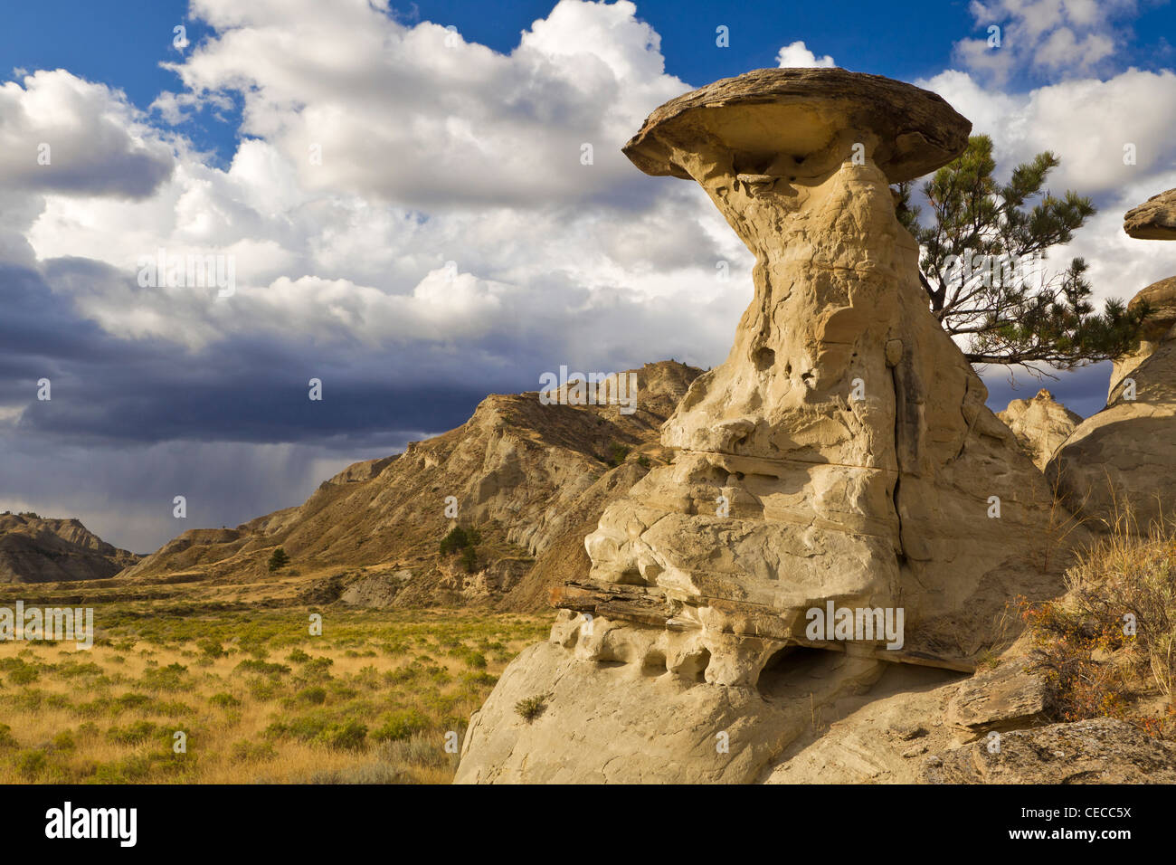 Caprock formation hi-res stock photography and images - Alamy