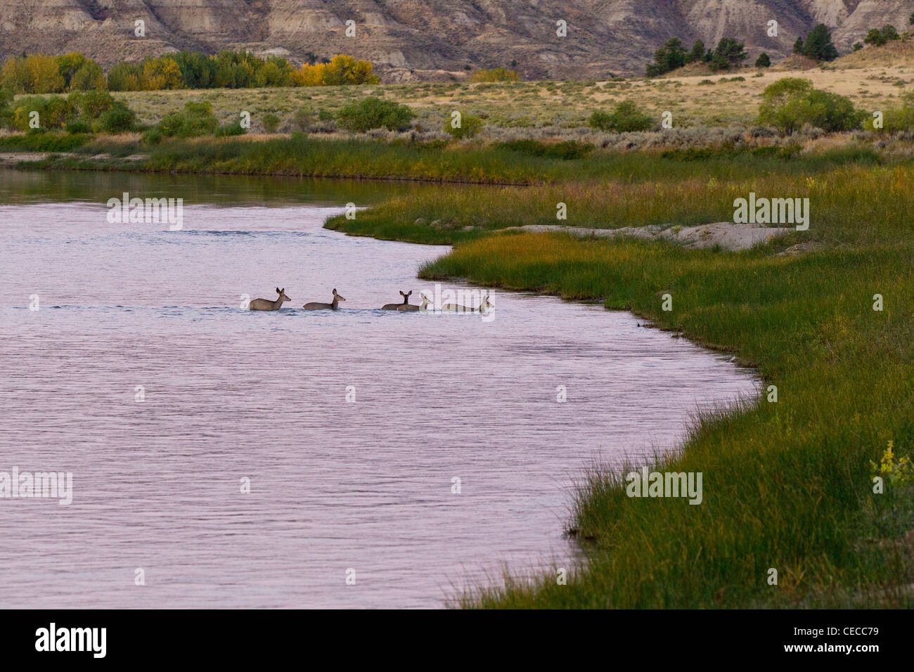 Upper Missouri River Breaks National High Resolution Stock Photography ...