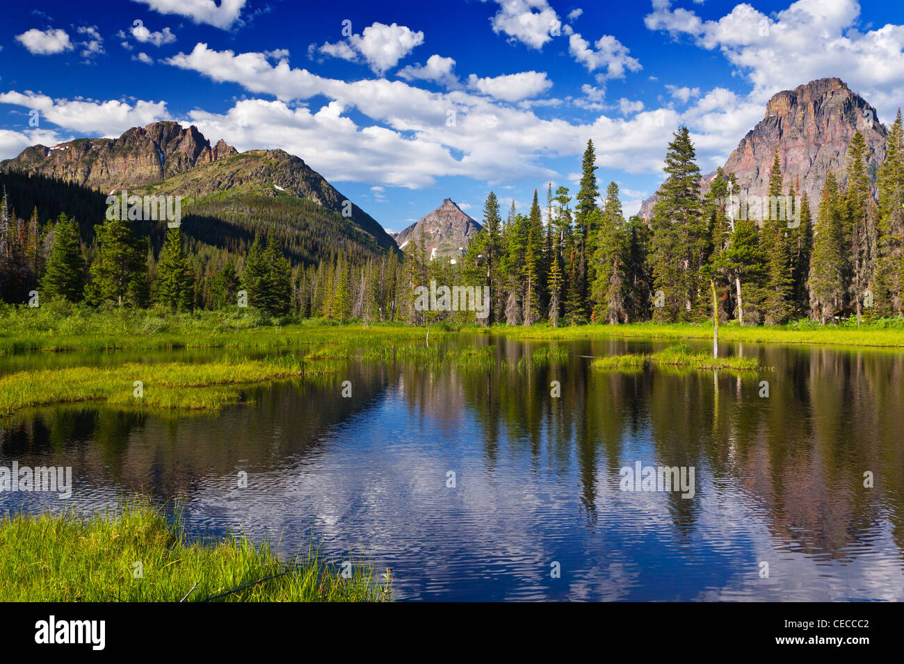 Beaver pond in Two Medicine Valley reflects Painted Teepee and Mount ...
