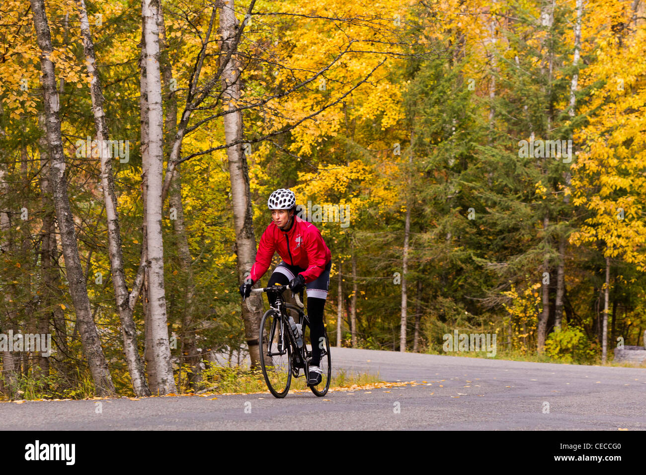 Montana fall hi-res stock photography and images - Alamy