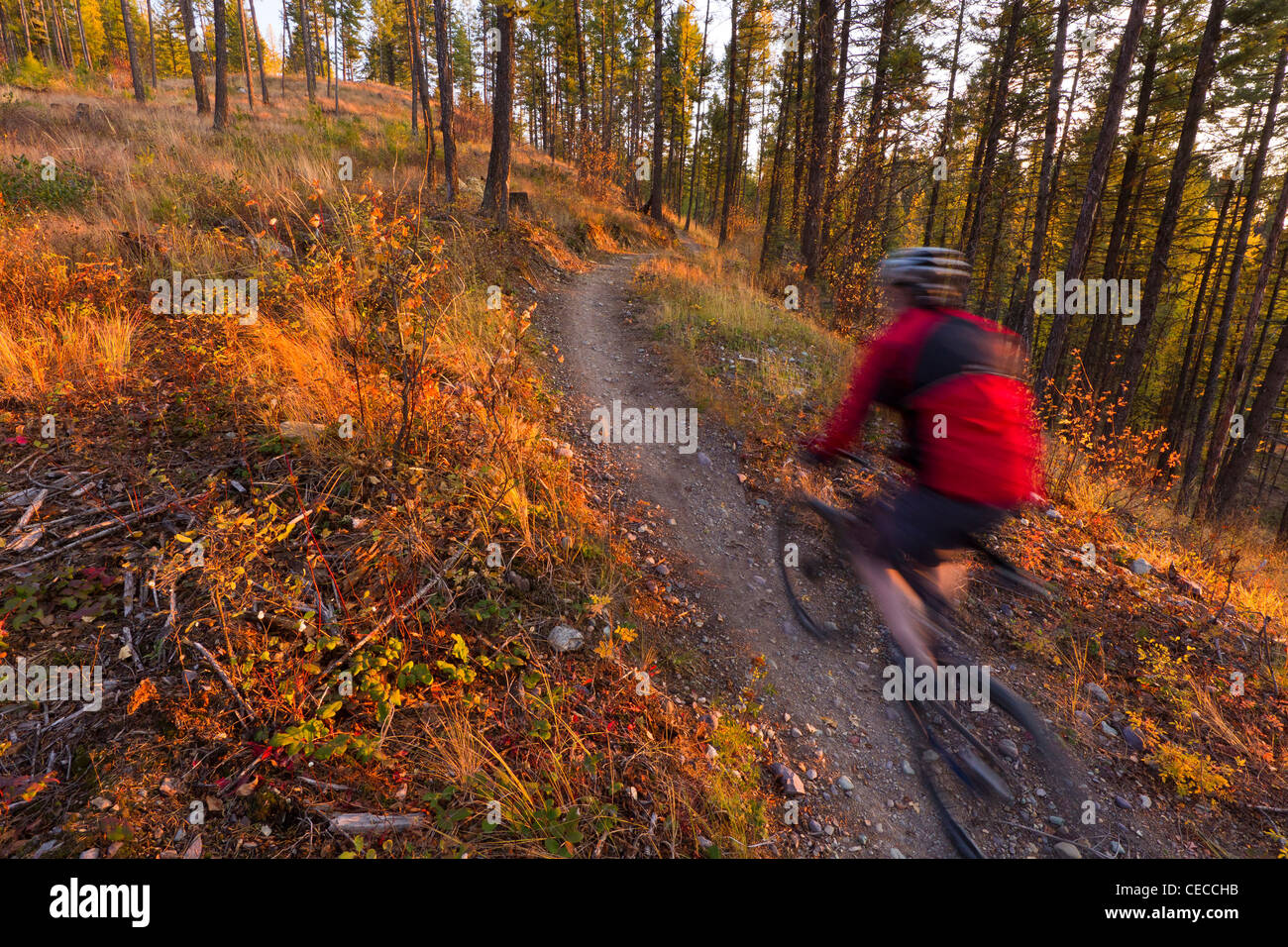 Singletrack trail hi-res stock photography and images - Alamy