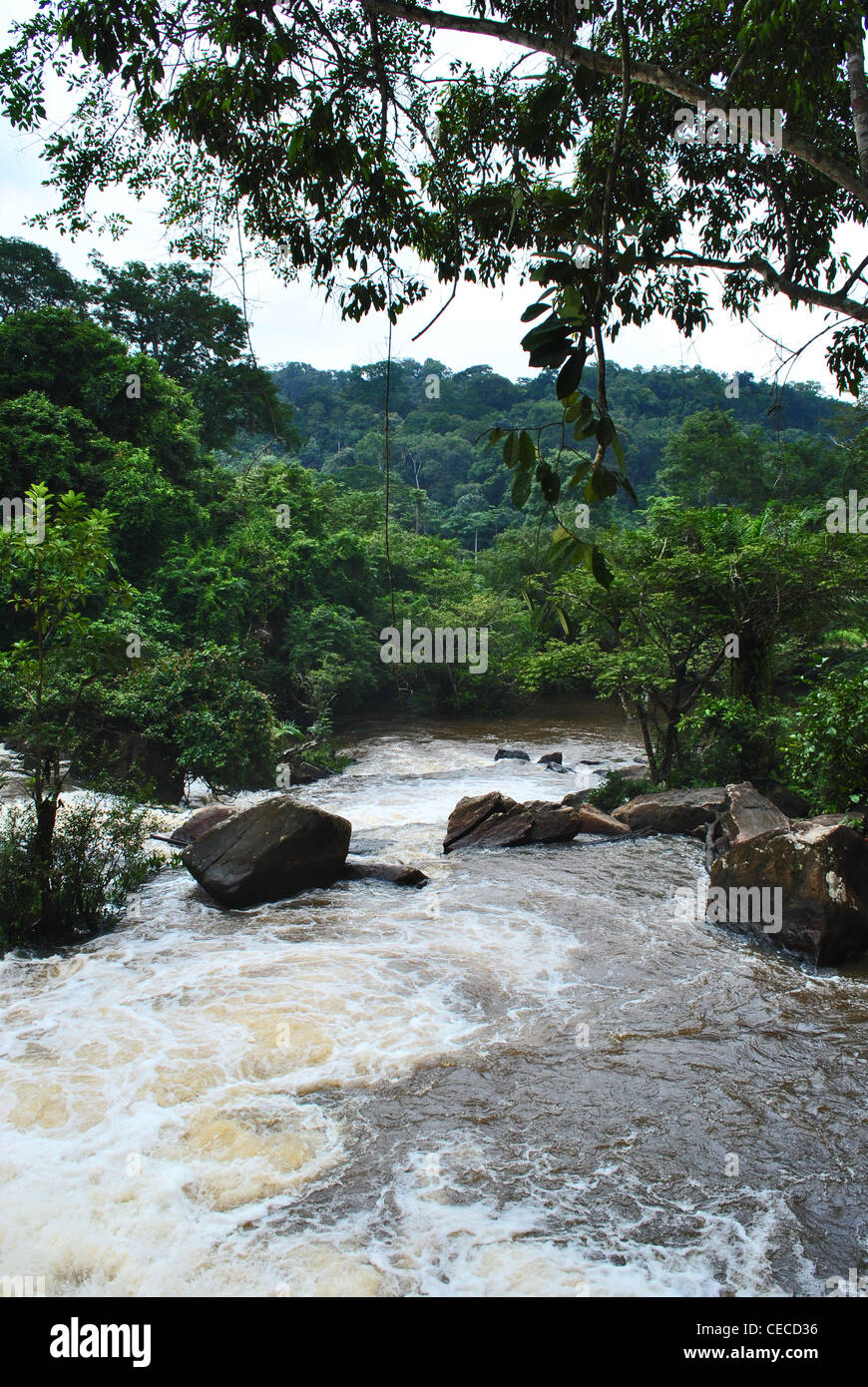 KKpatawe Falls in the jungle near Gbarnga, Liberia, West Africa Stock ...