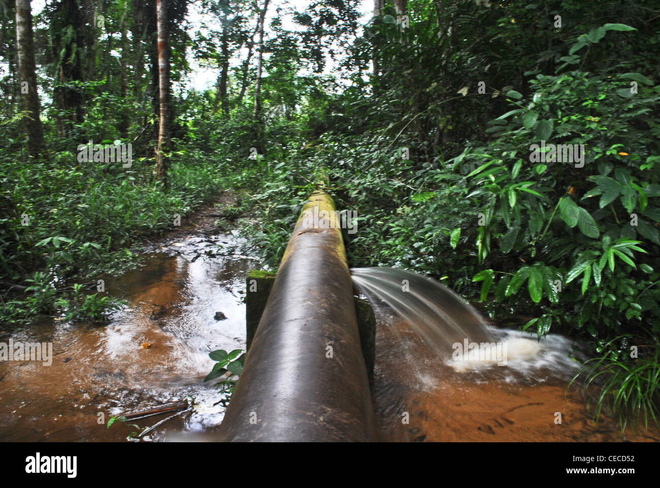 An old leaking water pipe in the forest near Gbarnga, Liberia Stock ...
