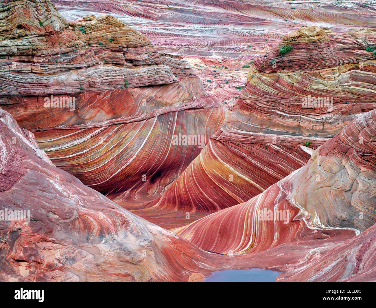 Sandtone formation hi-res stock photography and images - Alamy