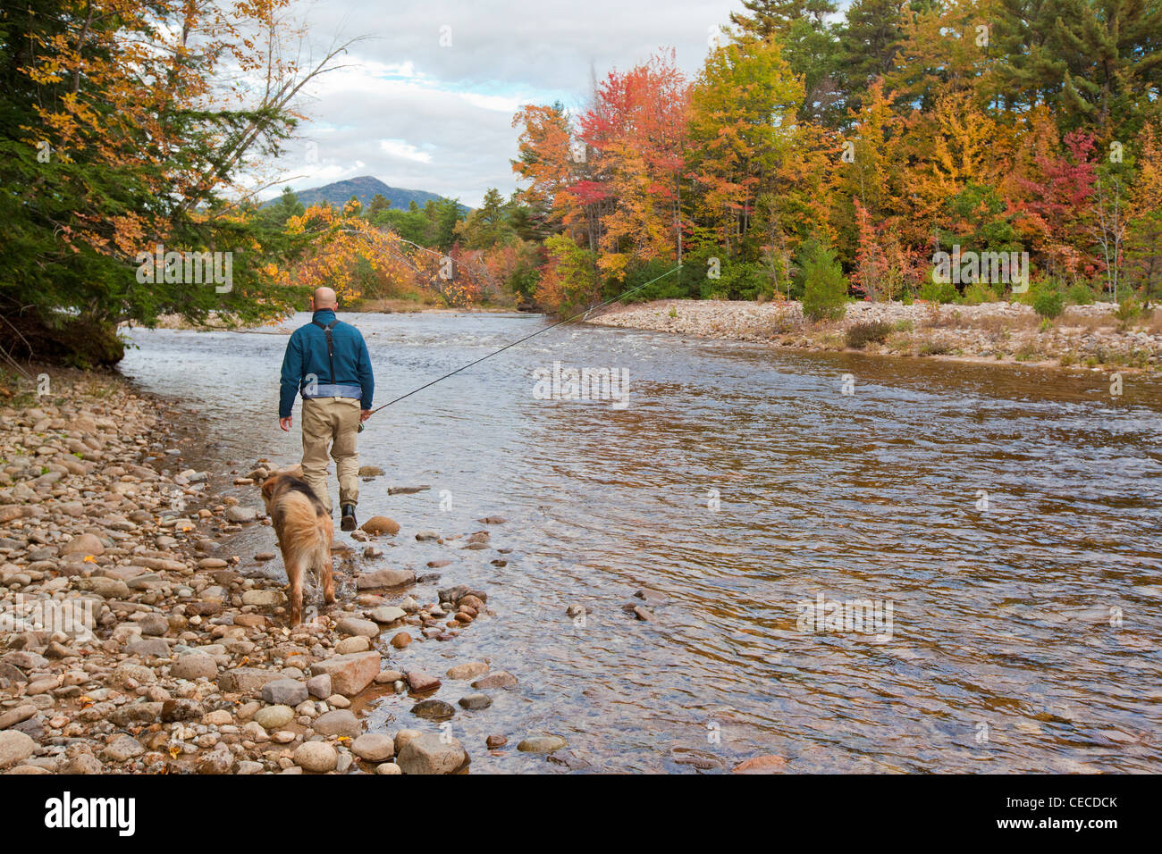 A man fly-fishing on the Swift River in Albany, New Hampshire. White ...