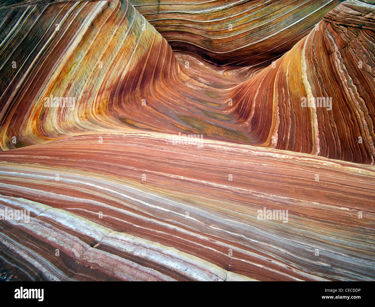 Sandtone formation in North Coyote Buttes, The Wave. Paria Canyon ...