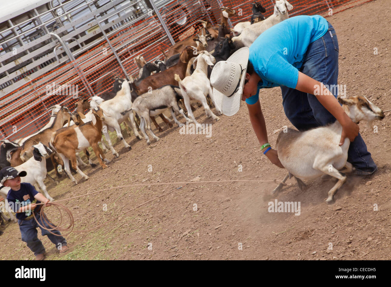 Galisteo, New Mexico, United States. Galisteo Rodeo. Little boy tries ...